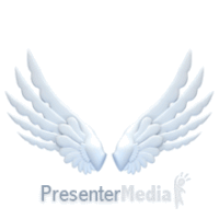 Wings GIFs - Get the best gif on GIFER