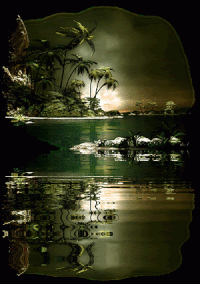 Tropical GIFs - Get the best gif on GIFER