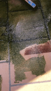 Patio GIFs - Get the best gif on GIFER