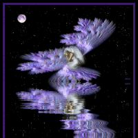 Nightingale GIFs - Get the best gif on GIFER