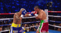 Cotto GIFs - Get the best gif on GIFER