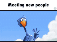 Reunion GIFs - Get the best gif on GIFER