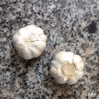 Garlic GIFs - Get the best gif on GIFER