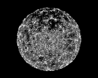 Generative GIFs - Get the best gif on GIFER