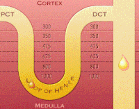 Adh GIFs - Get the best gif on GIFER