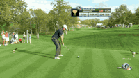 Golfers GIFs - Get the best gif on GIFER