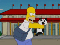 Sc2 GIFs - Get the best gif on GIFER