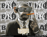Chimp GIFs - Get the best gif on GIFER