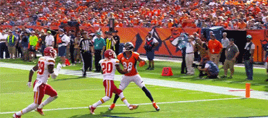 Cheifs GIFs - Get the best gif on GIFER