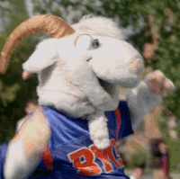 Bms GIFs - Get the best gif on GIFER