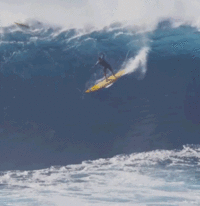 Surfs GIFs - Get the best gif on GIFER