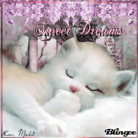Dreamed GIFs - Get the best gif on GIFER