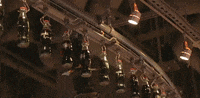 Georgia GIFs - Get the best gif on GIFER
