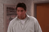 Ross Why Would You Do That Gif