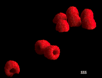 Raspberry GIFs - Get the best gif on GIFER