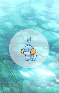 Mudkip GIFs - Get the best gif on GIFER