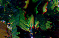 Sorting GIFs - Get the best gif on GIFER