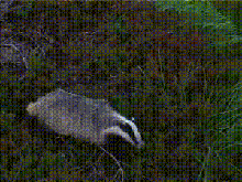 Whaaaaaaaaaa GIFs - Get the best gif on GIFER
