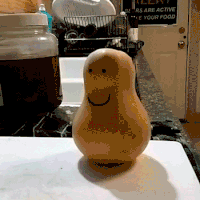 Squashed GIFs - Get the best gif on GIFER