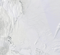 Arctic GIFs - Get the best gif on GIFER