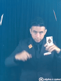 Wt GIFs - Get the best gif on GIFER