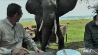 Violent GIFs - Get the best gif on GIFER