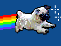 Nyan GIFs - Get the best gif on GIFER