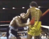 Boxeo GIF - Conseguir el mejor gif en GIFER