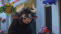 Bull GIFs - Get the best gif on GIFER