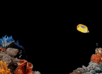 Windows98 GIFs - Get the best gif on GIFER