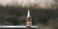 Bouteille de champagne GIFs - Obtenez le meilleur gif sur GIFER