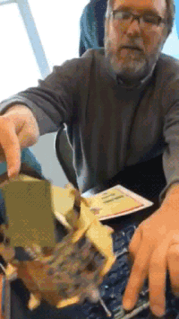 Baruch college GIF - Conseguir o melhor gif em GIFER