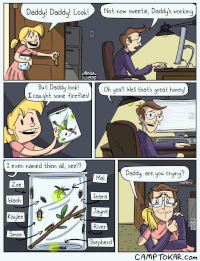 Lume GIFs - Get the best gif on GIFER