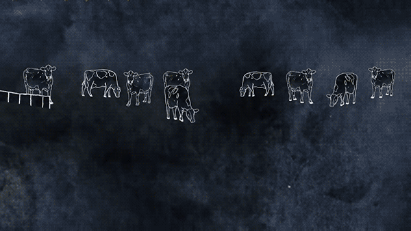 Contribute GIFs - Get the best gif on GIFER