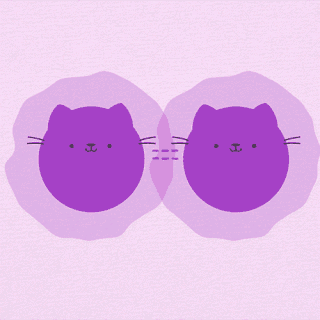 Quantum gate GIF - Conseguir o melhor gif em GIFER