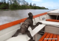 Speedboat GIFs - Get the best gif on GIFER