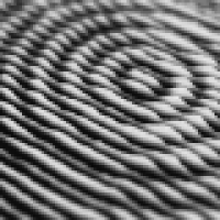 Identification GIFs - Get the best gif on GIFER