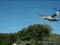 Ospreys GIFs - Get the best gif on GIFER