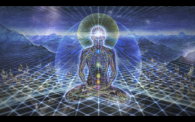 As does the rest of them GIF - Conseguir o melhor gif em GIFER