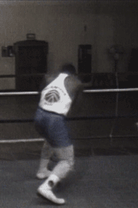 Boxing GIFs - Get the best gif on GIFER