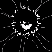 Flock GIFs - Get the best gif on GIFER