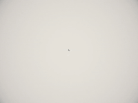 Multiplying GIFs - Get the best gif on GIFER