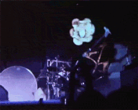 Peter GIFs - Get the best gif on GIFER