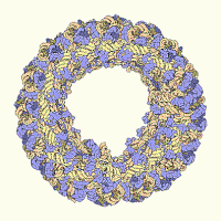 Protein GIFs - Get the best gif on GIFER