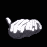 Manos GIF - Conseguir el mejor gif en GIFER