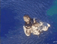 Rescue GIFs - Get the best gif on GIFER