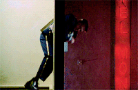 Dim GIFs - Get the best gif on GIFER