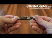 Mamba GIFs - Get the best gif on GIFER