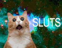 Semester GIFs - Get the best gif on GIFER