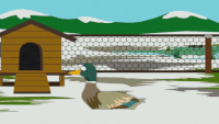 Barnyard GIFs - Get the best gif on GIFER